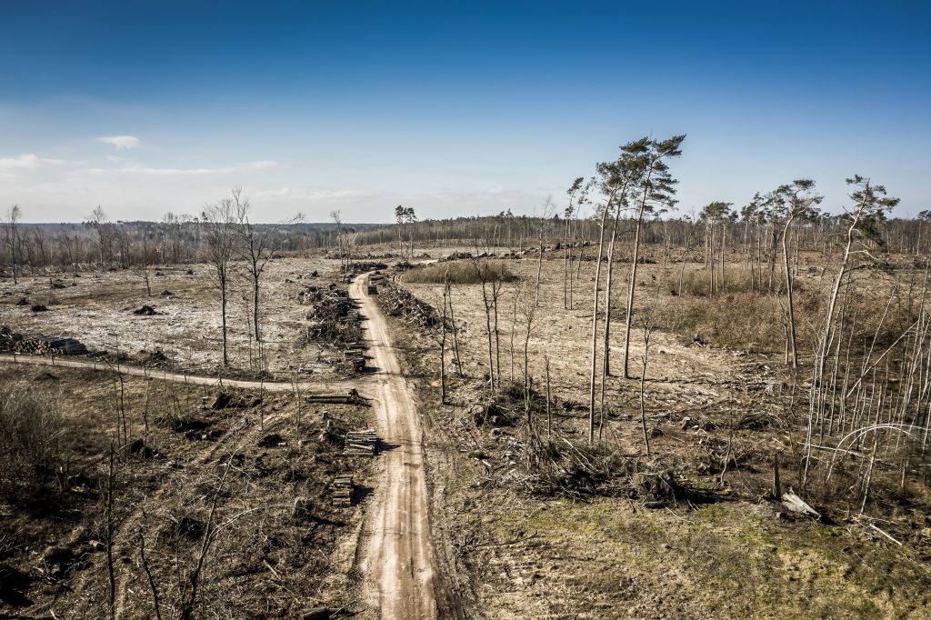Resource Crisis - CASSee Program